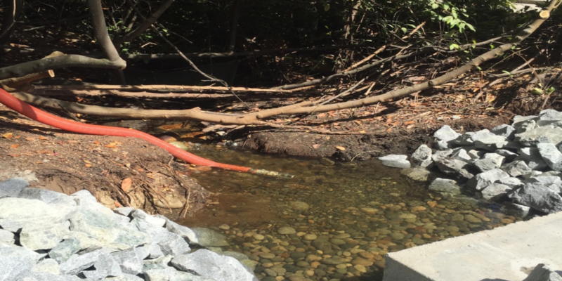 Instream Works | Edgewater Site Contracting